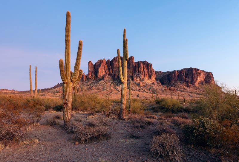 The Superstition Mountains with Saguaro Cactus at Dusk Stock Photo ...