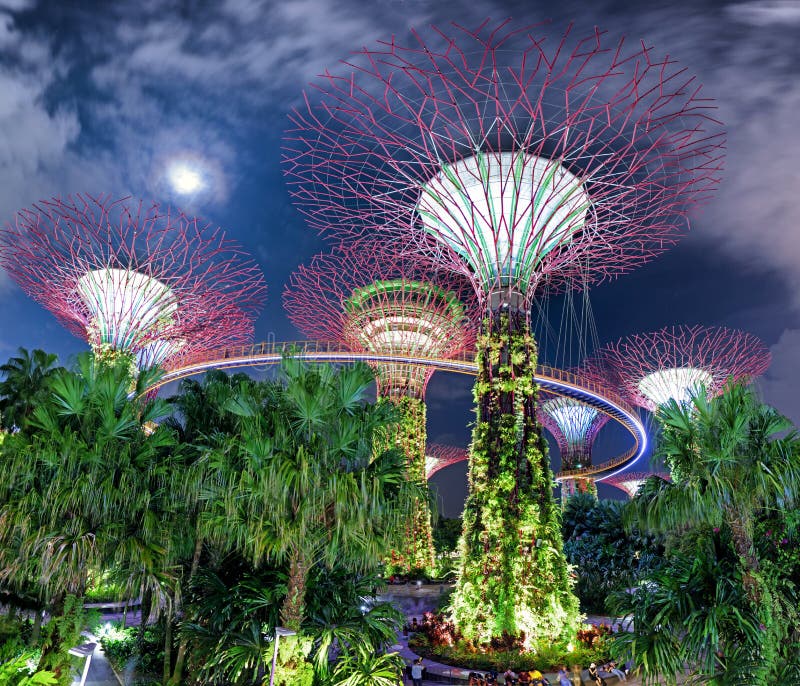 Supertree Garden at Night, Garden by the Bay, Singapore Stock Photo ...
