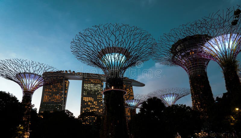 The Supertree at Gardens by the Bay Editorial Photo - Image of tree ...