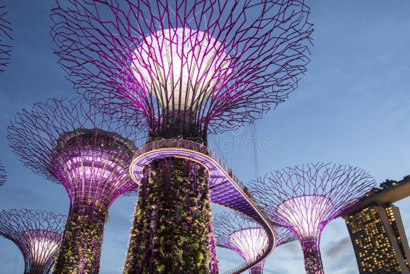 The Supertree at Gardens by the Bay Stock Photo - Image of gardens ...