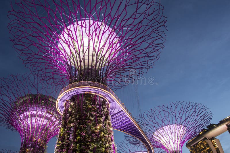 The Supertree at Gardens by the Bay Stock Photo - Image of plant ...