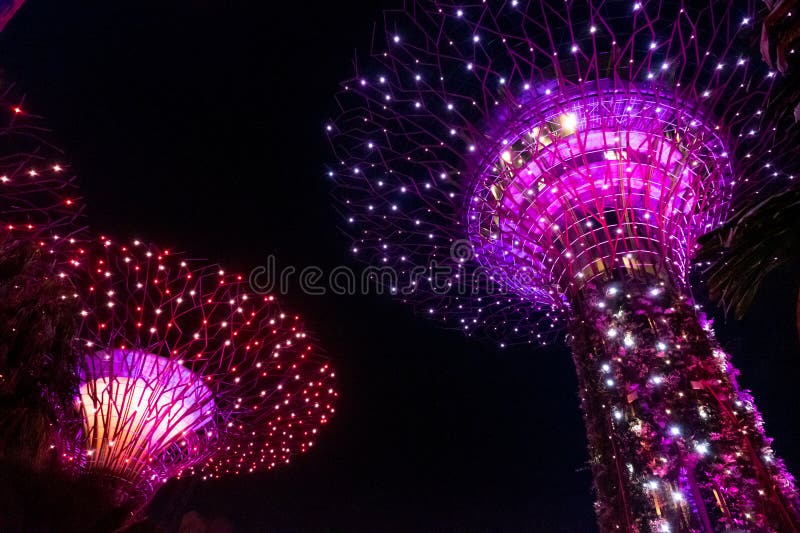Supertree Grove in Garden by the Bay, Singapore at Night Stock Image ...