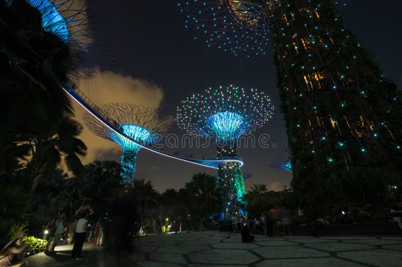 The Supertree Grove in Gardens by the Bay in Singapore Editorial Stock ...