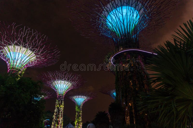 Supertree Grove at Gardens by the Bay in Singapore, by Night Editorial ...