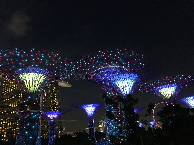Supertree Grove Skywalk with Lights Editorial Photography - Image of ...