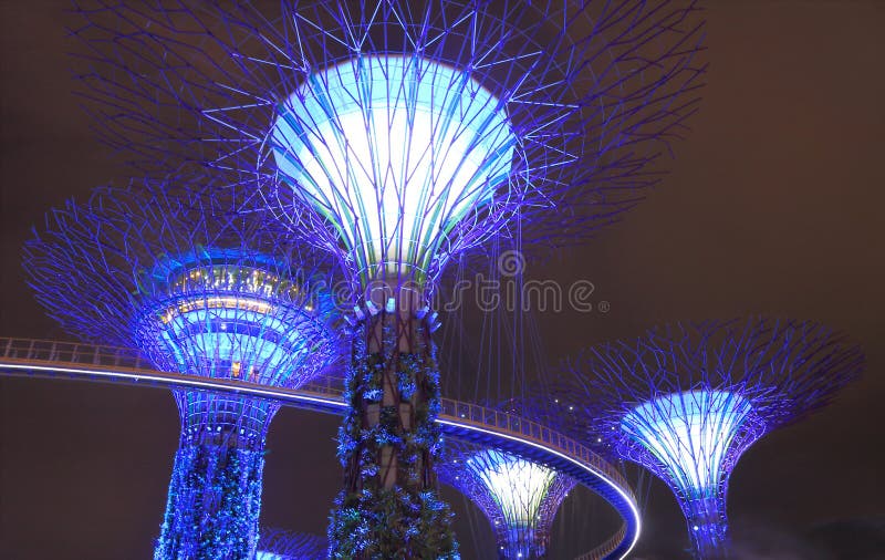 Supertree Grove Singapore editorial stock image. Image of tourist ...