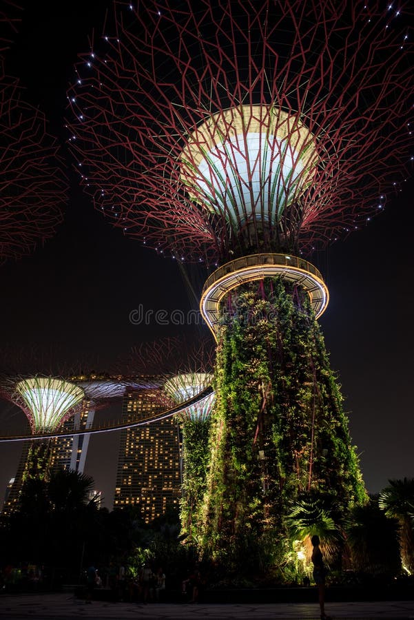 Supertree Light Show in Gardens by the Bay Singapore Stock Photo ...