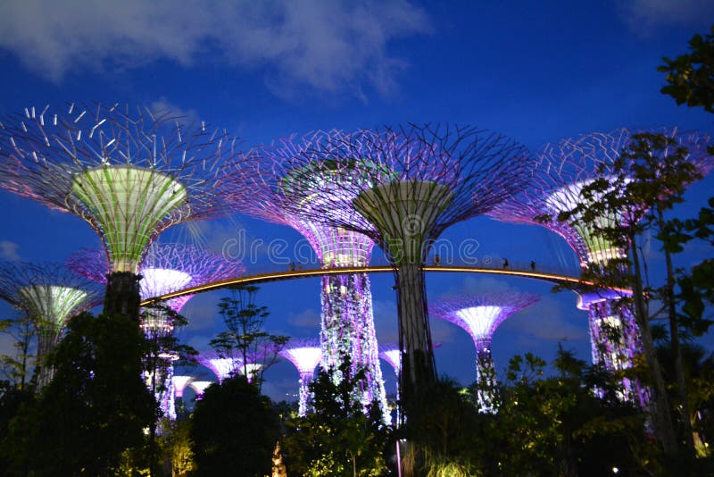 Supertree (Lights) stock photo. Image of glass, fluffy - 32177680