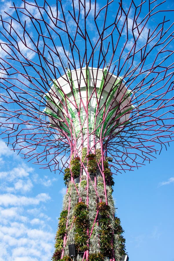 Supertree Structure stock photo. Image of design, structural - 25800100