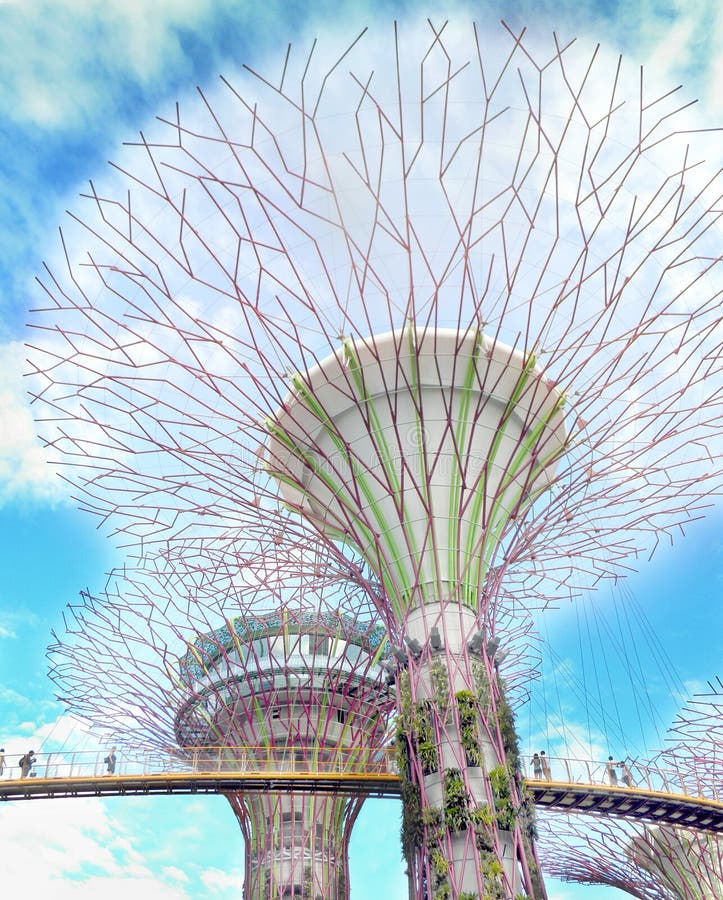Supertrees between Bridge at Gardens by the Bay Editorial Stock Photo ...