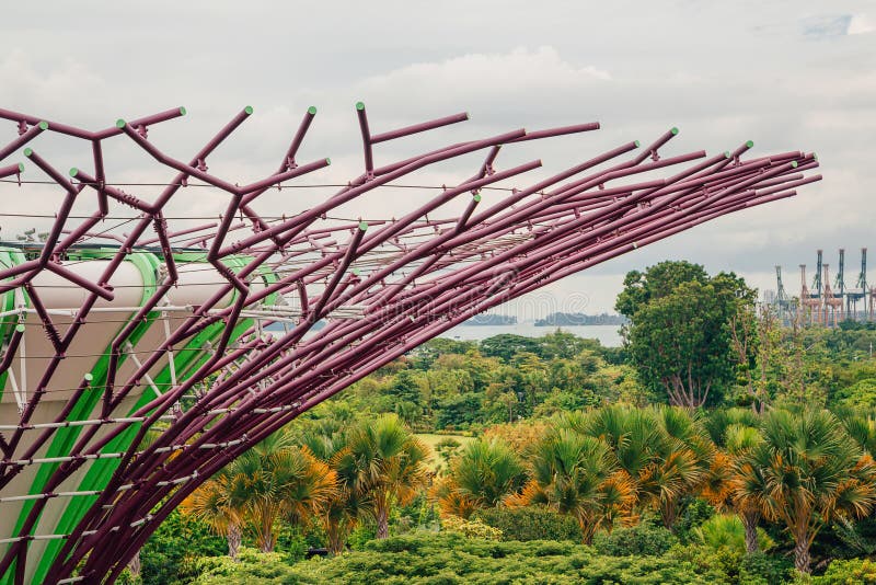 Supertrees at Gardens by the Bay in Singapore Editorial Photography ...