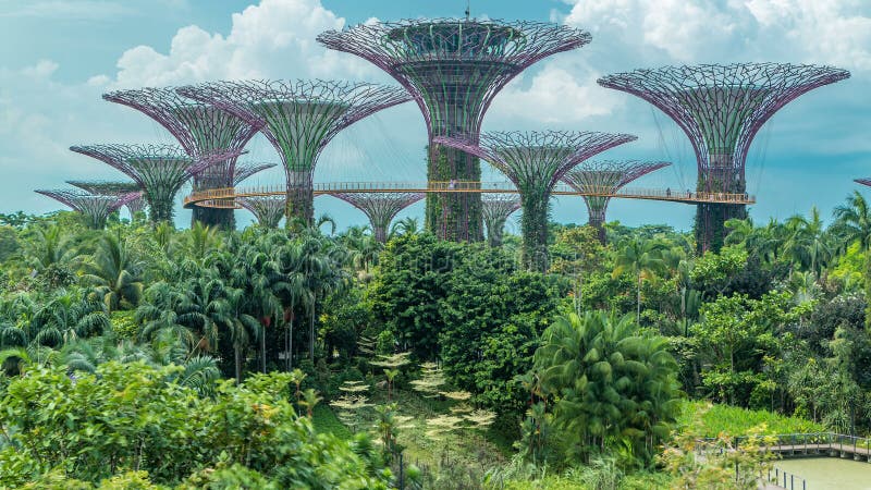 Supertrees at Gardens by the Bay Timelapse. Editorial Stock Image ...