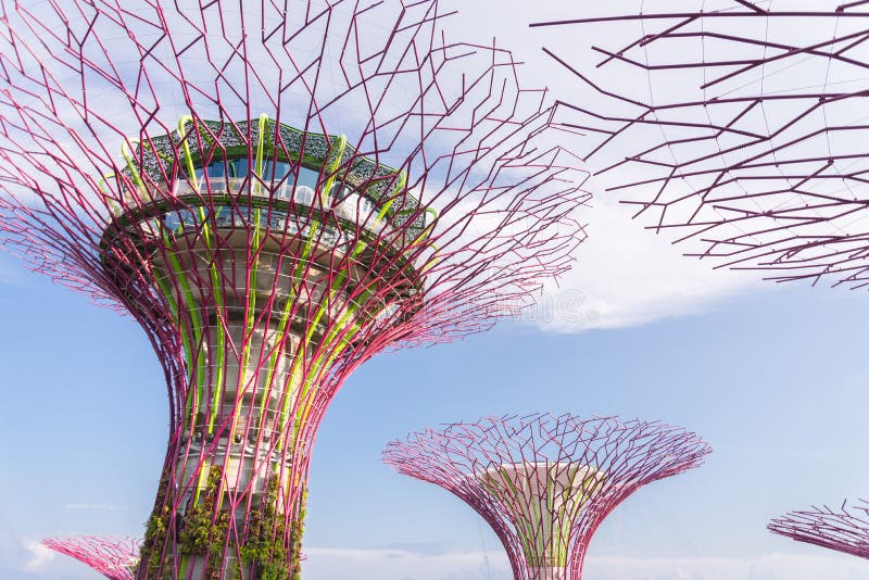 Supertrees, Gardens by the Bay, Singapore Editorial Stock Photo - Image ...