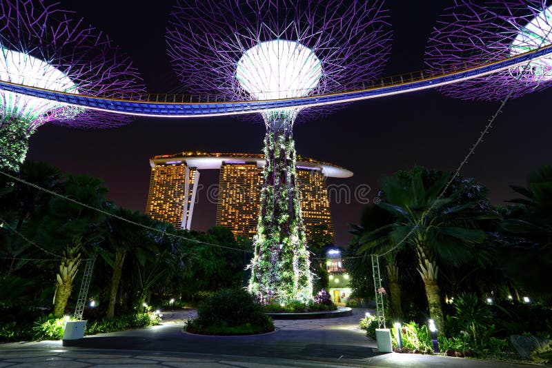 Supertrees, Trees are Illuminated by Different Lights in Gardens by the ...