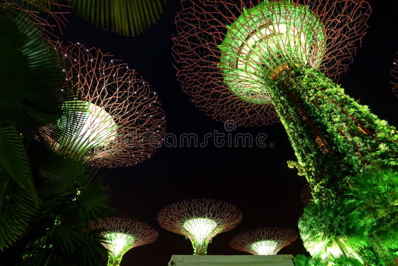 Supertrees, Trees are Illuminated by Different Lights in Gardens by the ...
