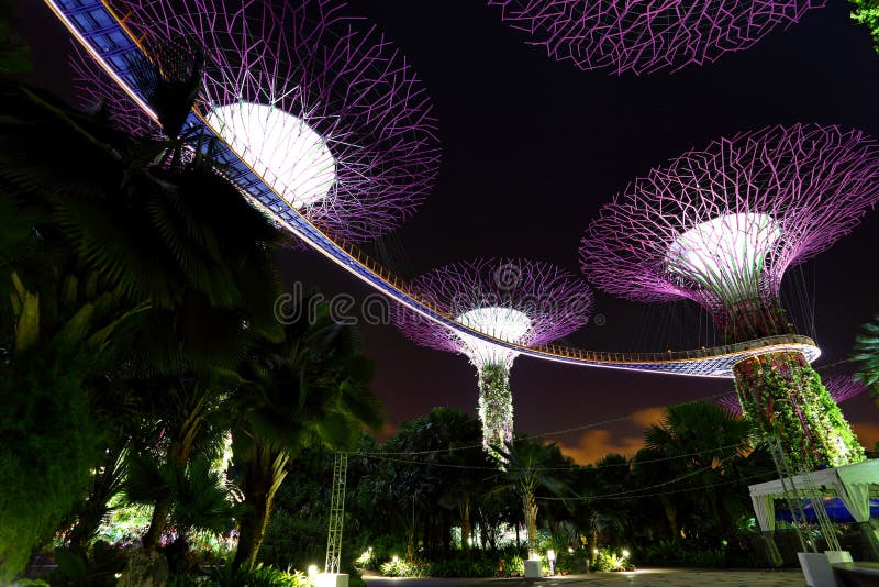 Supertrees, Trees are Illuminated by Different Lights in Gardens by the ...