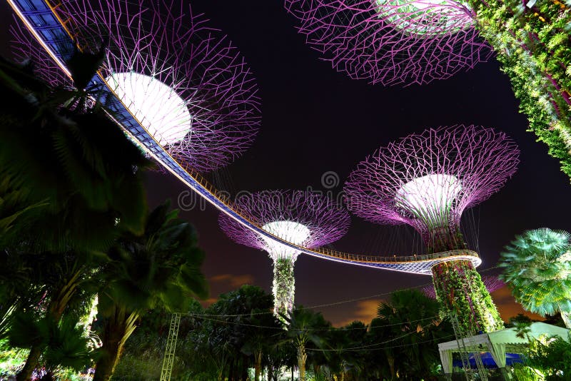 Supertrees, Trees are Illuminated by Different Lights in Gardens by the ...