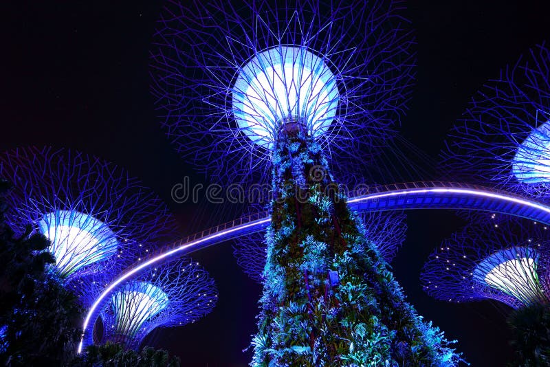 Supertrees, Trees are Illuminated by Different Lights in Gardens by the ...