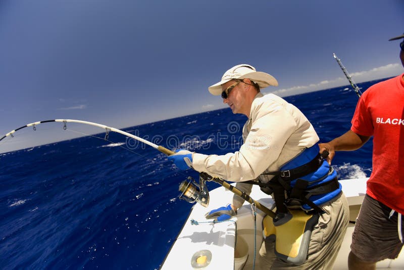 Sailfish Saltwater Sport Fishing Jumping Stock Image - Image of ...