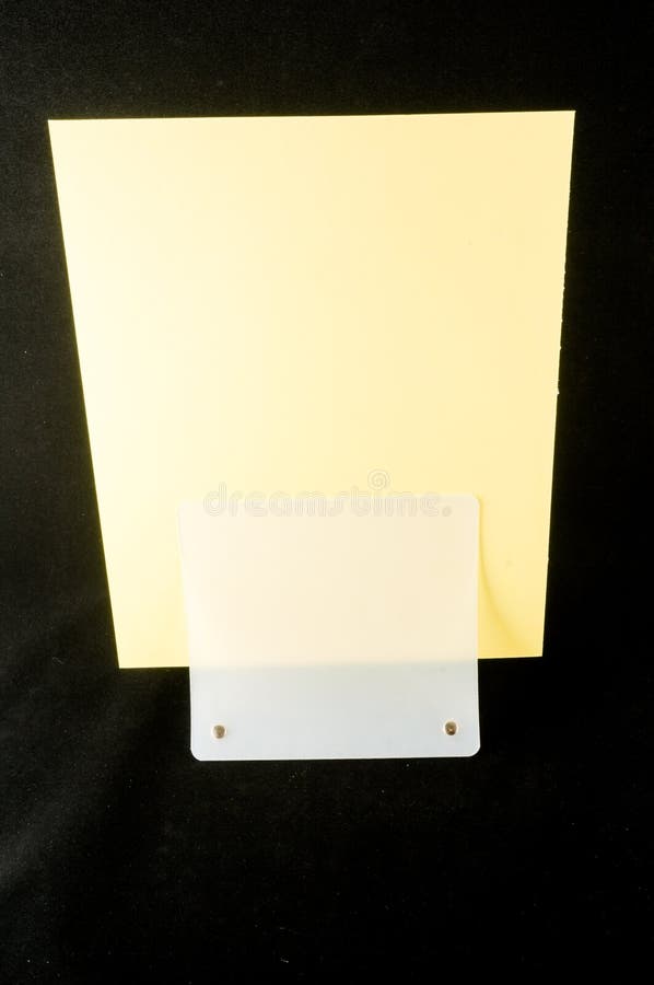 Support Vide De Papier De Maquette D'insecte D'isolement Photo stock ...