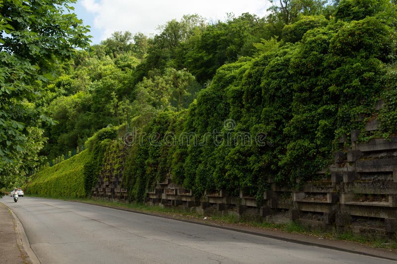 Support Wall Covered with Vegetation and Greenery at the Edge of a Road ...