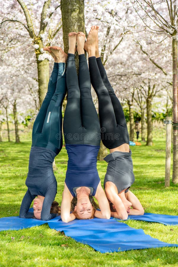 Supported headstand pose stock image. Image of girl, female - 77659939