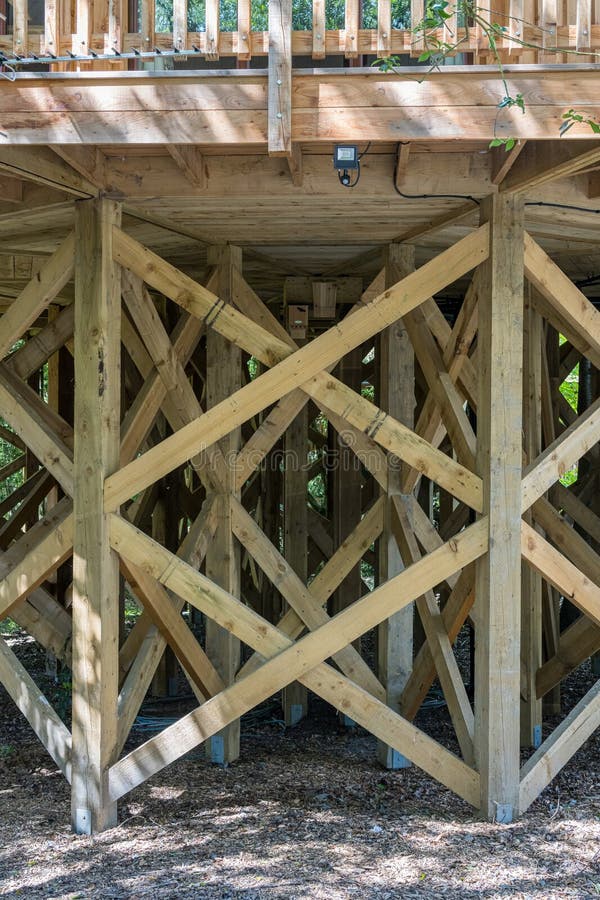 Supporting Framework for Raised Tree Home for Glamping Stock Photo ...