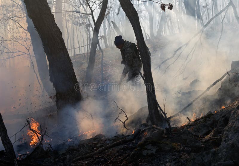Suppression of Forest Fire 13 Stock Image - Image of action, protection ...