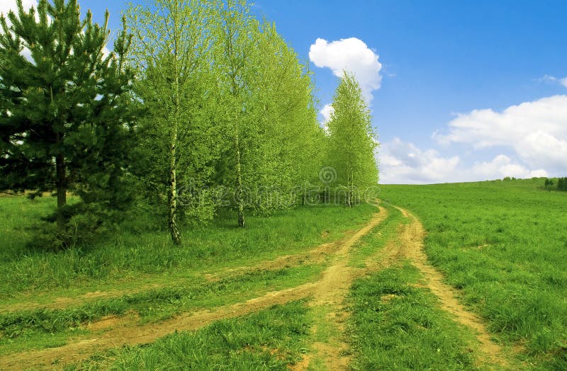 Sur Le Carrefour De Deux Routes. Photo stock - Image du agriculture ...