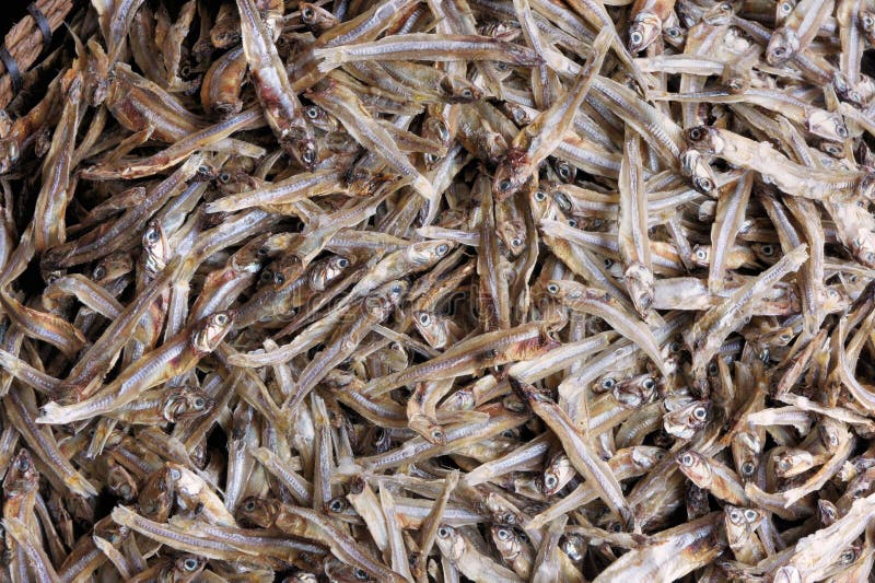 Sur Le Compteur Est Beaucoup De Poisson Sec Très Bon Photo stock ...