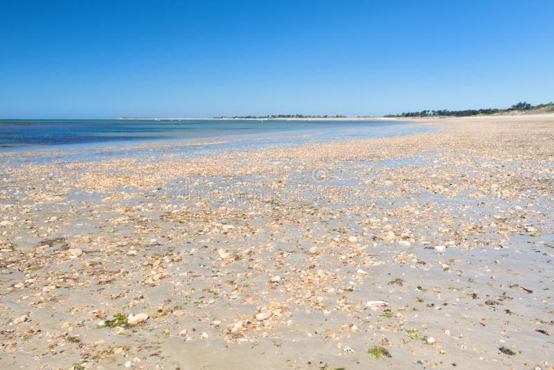 Sur Mer De Couarde Del La De Ile De Re - Imagen de archivo - Imagen de ...