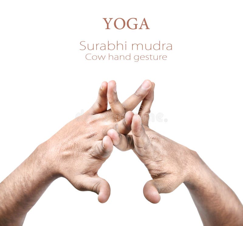 Surabhi mudra stock photo. Image of hands, hindu, pose - 26972534