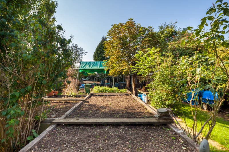 Garden vegetable patch stock photo. Image of earth, gardening - 266571318