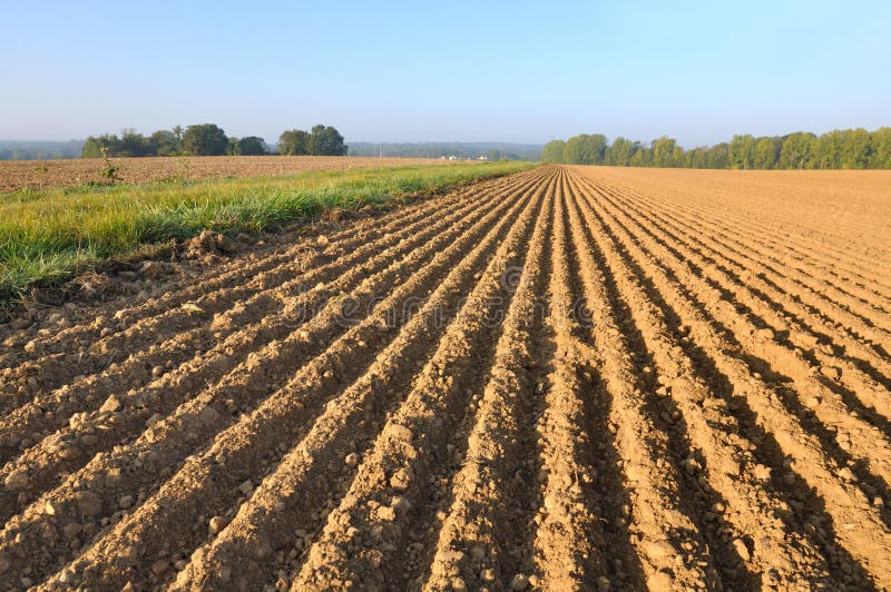 Surcos en tierra imagen de archivo. Imagen de topsoil - 60577823