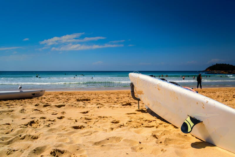 Surf Board, Ocean and the Beach Stock Image - Image of boogie, alone ...