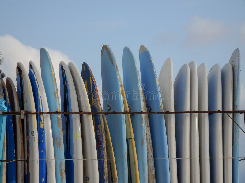 Surf Boards in Bali stock photo. Image of tree, beach, holiday - 495934