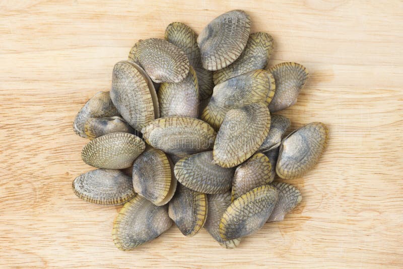 Shellfish stock photo. Image of detail, nature, fishing - 34466930