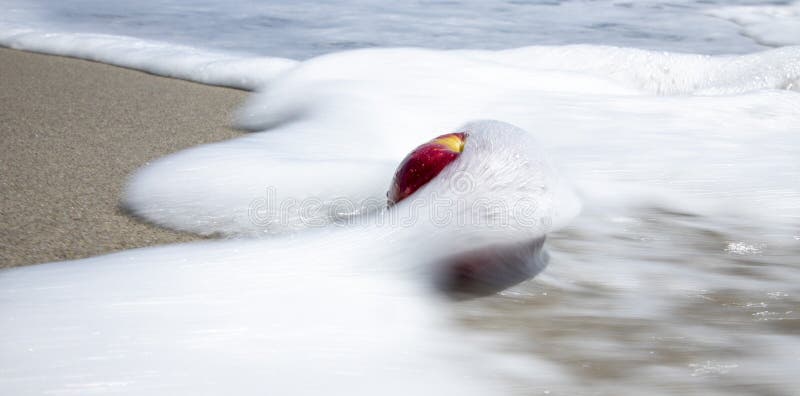 Bright Red Apple in Surf on Beach Stock Photo - Image of white, apple ...