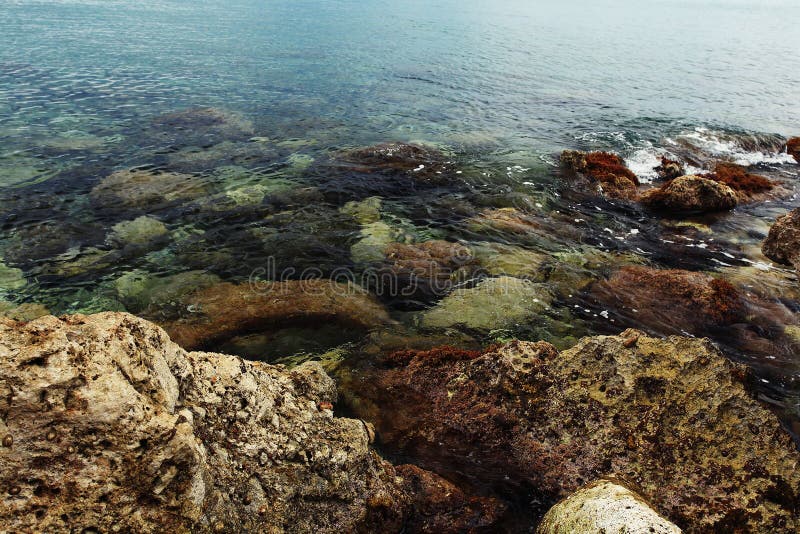 Rocky sea beach stock image. Image of island, tropical - 65307575