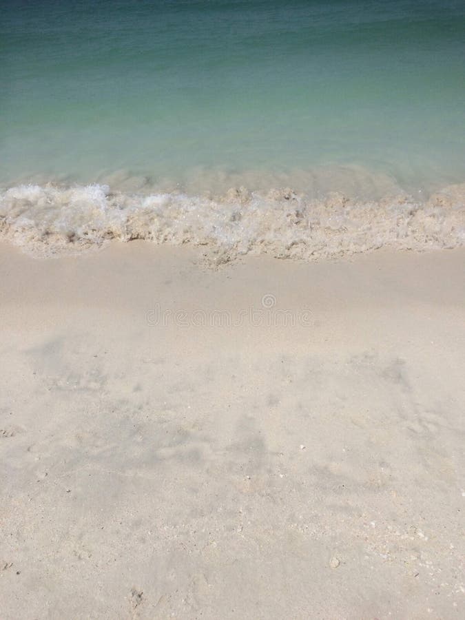 Surf on a shell beach stock image. Image of white, surf - 207188349