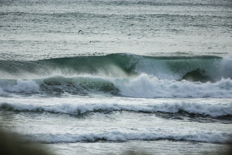 Surf wave stock photo. Image of surf, left, lineup, beach - 65194966