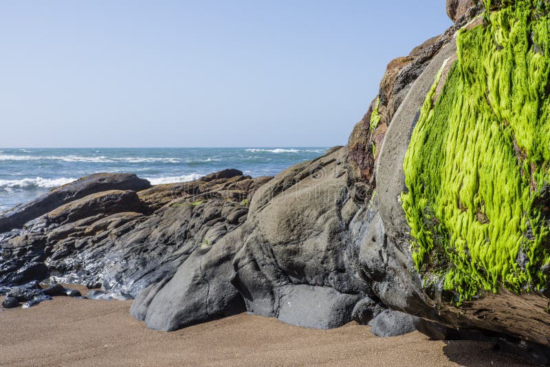Surf and Waves on a Rocky Coast Stock Photo - Image of coast, ocean ...
