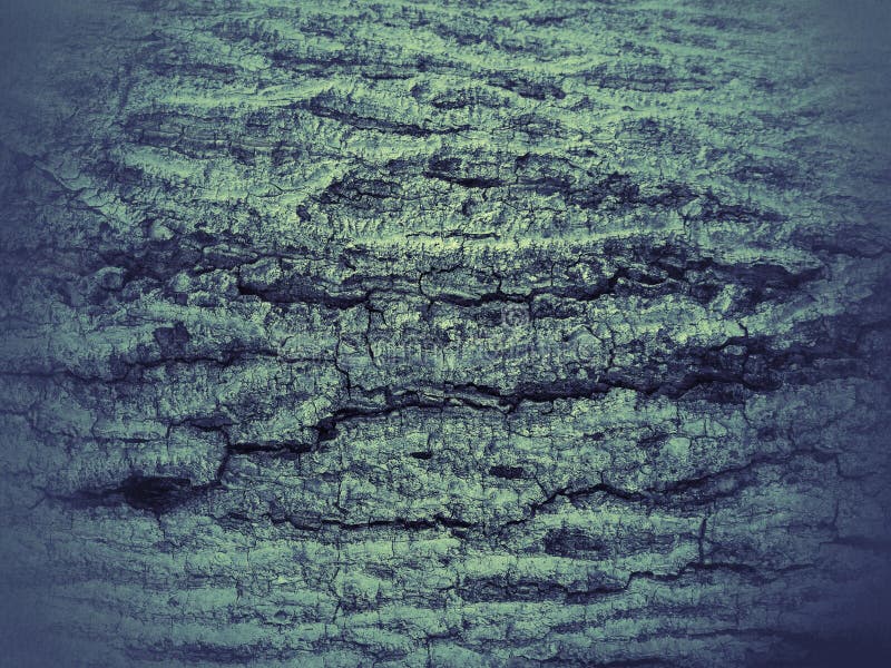 The Surface of the Bark Resulting in a Dark Tone, Wave Pattern ...