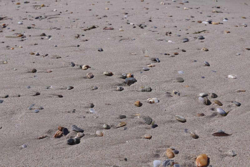 Surface of the Beach, Sand with Small Rocks in it. Stock Photo - Image ...