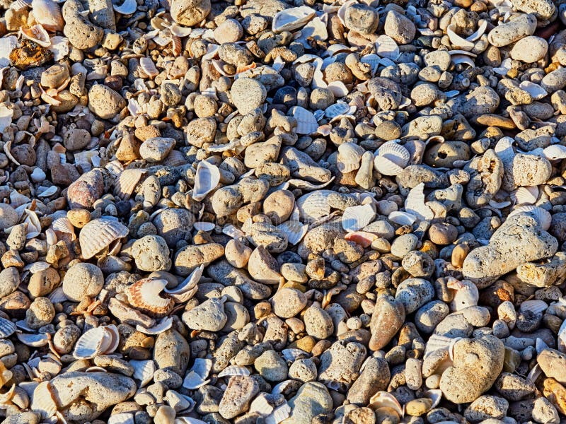 The Surface of the Beach Shore Stock Photo - Image of textured, design ...