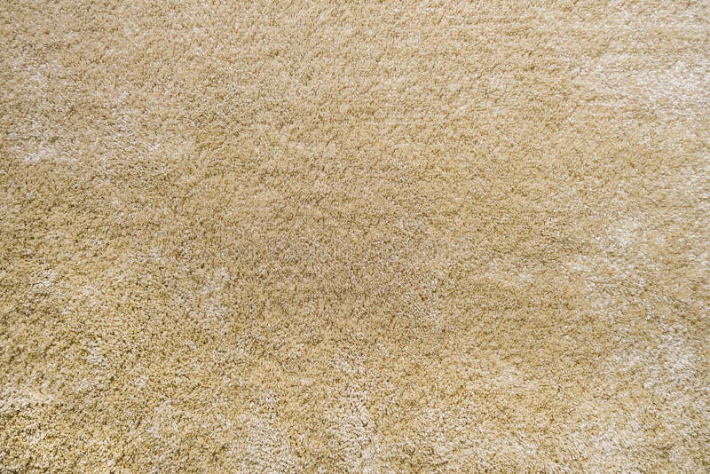 Surface of Beige Carpet. Frieze Wool Material Carpeting Stock Photo ...