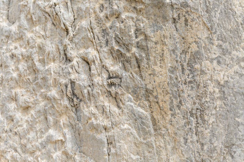Surface of Beige Sandy Rock. Durable Building Material and ...