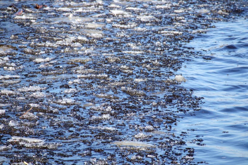 .the Surface of a Body of Water that is Partially Covered with Small ...