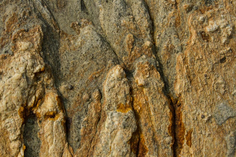 The Surface of a Brown Stone. Protective Pattern Stock Image - Image of ...