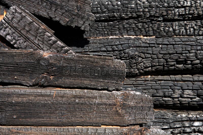 The Surface of a Charred Tree. Stock Image - Image of burnt, macro ...